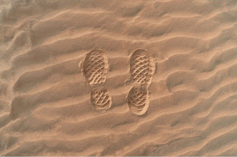 Tracking the Trail: The Role of Footwear Analysis in Forensic ...