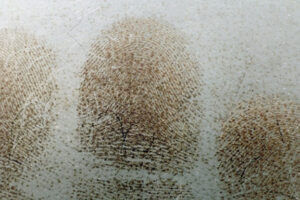 Unveiling Fingerprints on Human Skin: Techniques and Case Studies ...